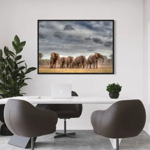 Poster Geant Elephant | Off Pure