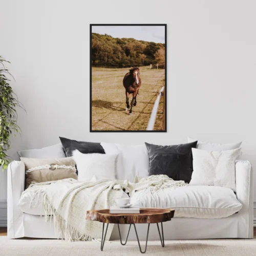 Tableaux De Cheval | Off Pure